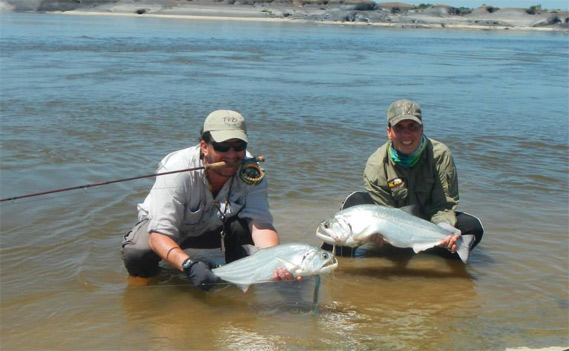 Orinoco River - orinoco